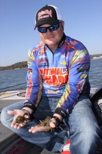 Mark Rose Talks Football Jig Trailers | Advanced Angler::Bass Fishing News::Bassmaster::Major ...